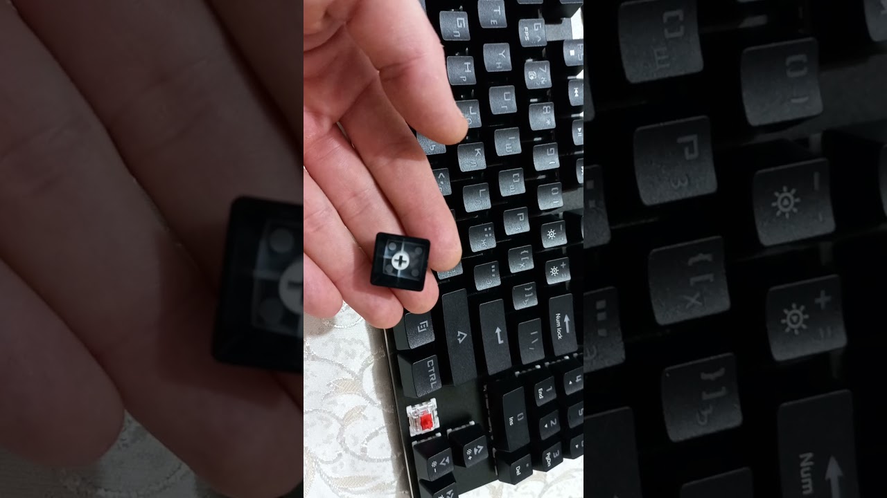 Обзор DEXP Saber TKL - YouTube