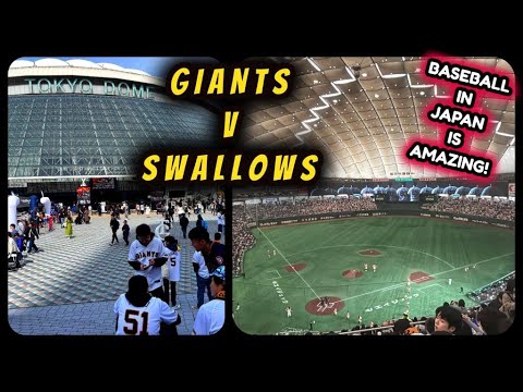 My First JAPANESE BASEBALL Game | My AMAZING Game Day EXPERIENCE ...