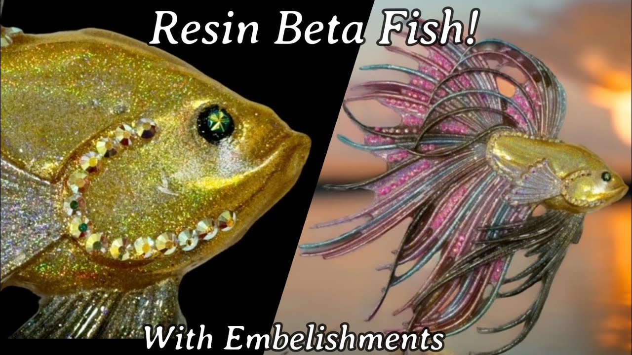 #450 Resin Beta Fish With Holographic Glitter and Embelishments! - YouTube