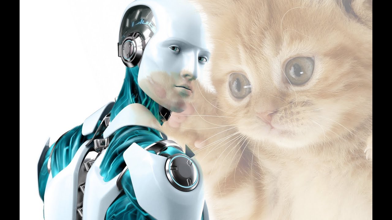 Robot Wants Kitty | AWESOME FLASH GAME!! - YouTube