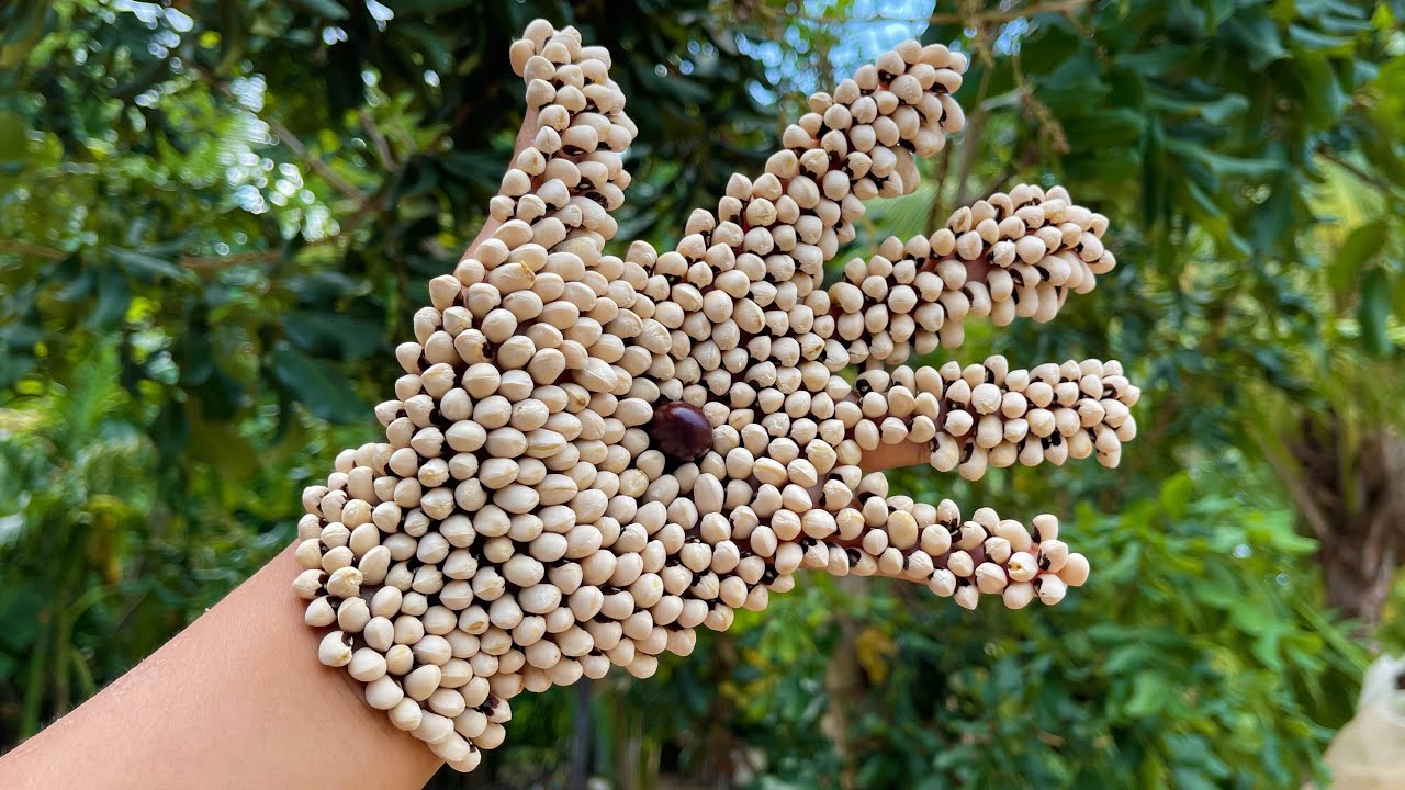 Hands full of beautiful ticks, Make by Beans #025 - YouTube