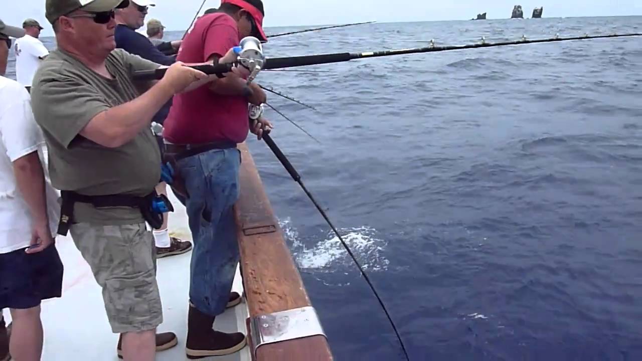 113.8lb Yellowfin Tuna at Alijos Rocks part 1 of 2 - YouTube