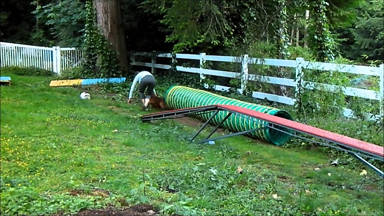 Teddy 13 months more action - YouTube