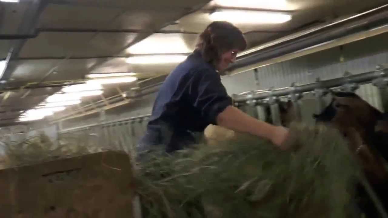 Portrait de métier: Ouvrière agricole - YouTube