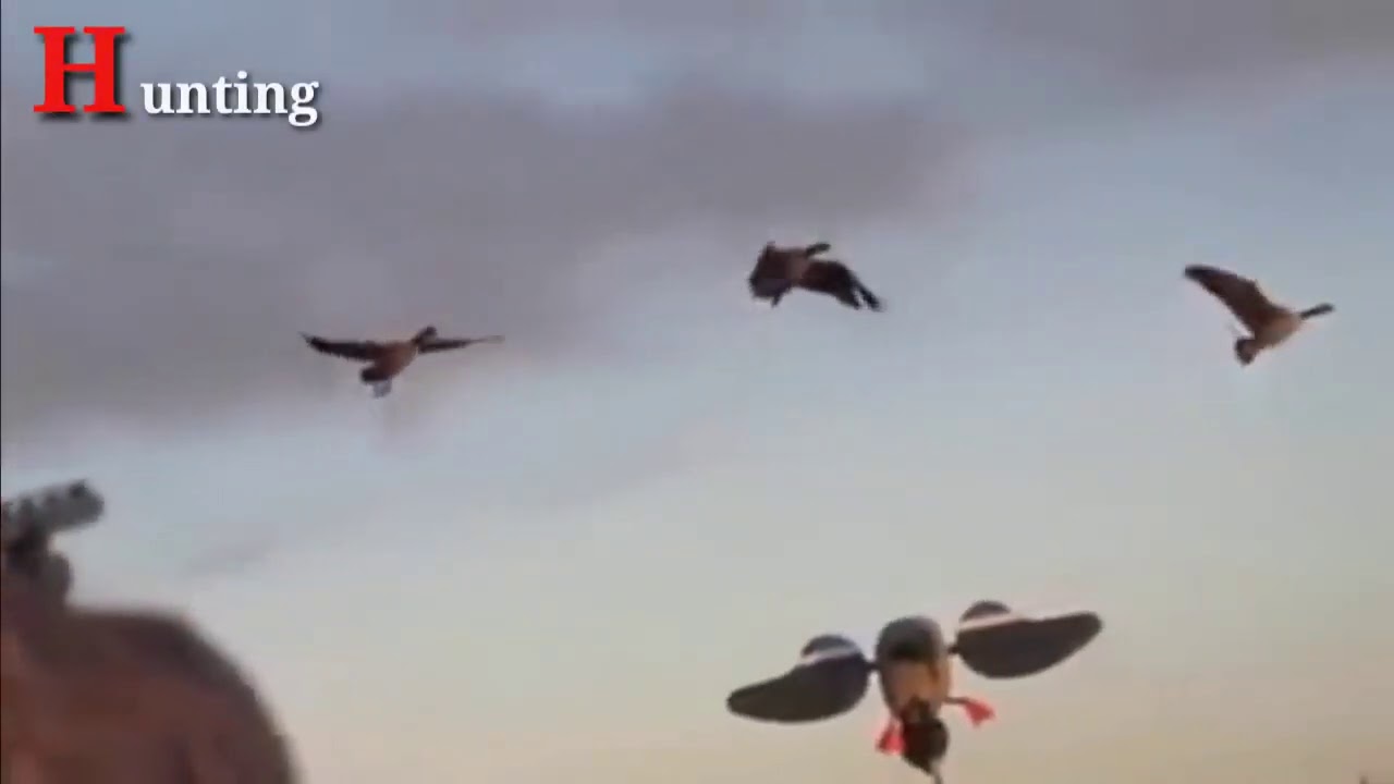 Hunting. Slow Motion Shooting - YouTube