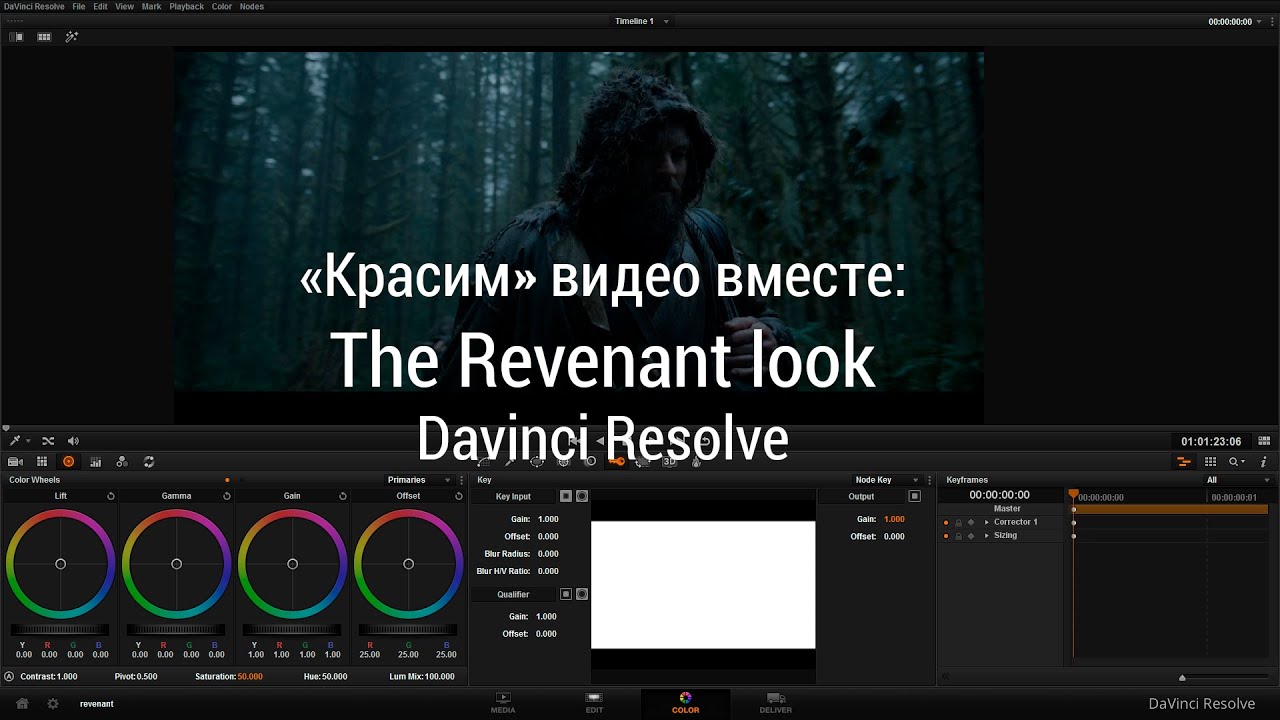 "Красим" видео вместе: The Revenant Davinci Resolve look - YouTube