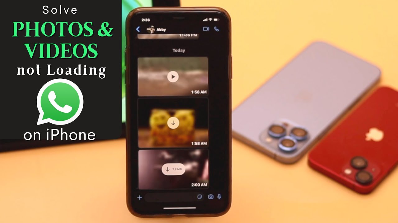 Picture And Video Not Loading On WhatsApp On IPhone Here s How To Fix picture-and-video-not-loading-on-whatsapp-on-iphone-here-s-how-to-fix