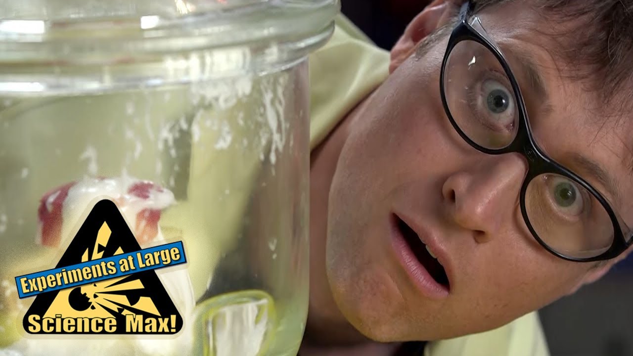 Science Max | Science Expirements | Vacuums - YouTube