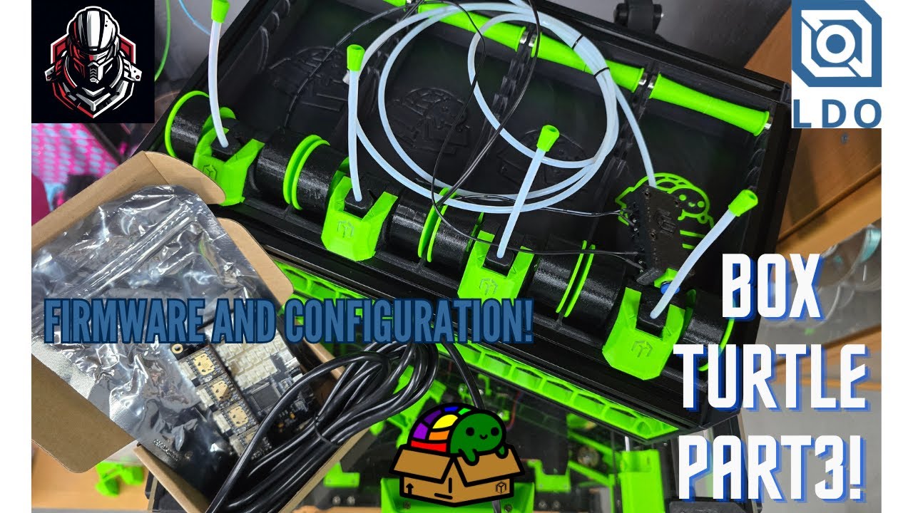 LDO Box Turtle Part 3! - YouTube