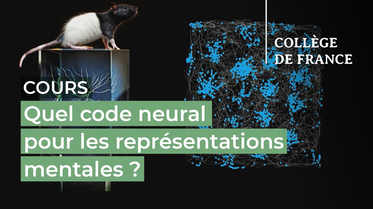 Quel code neural pour les représentations mentales ? (3) - Stanislas ...