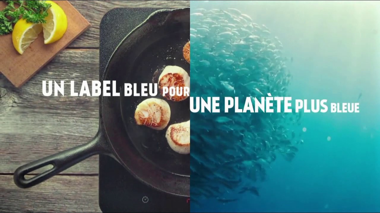 MSC Pêche durable "un label bleu pour une planète plus bleue" Pub 30s ...