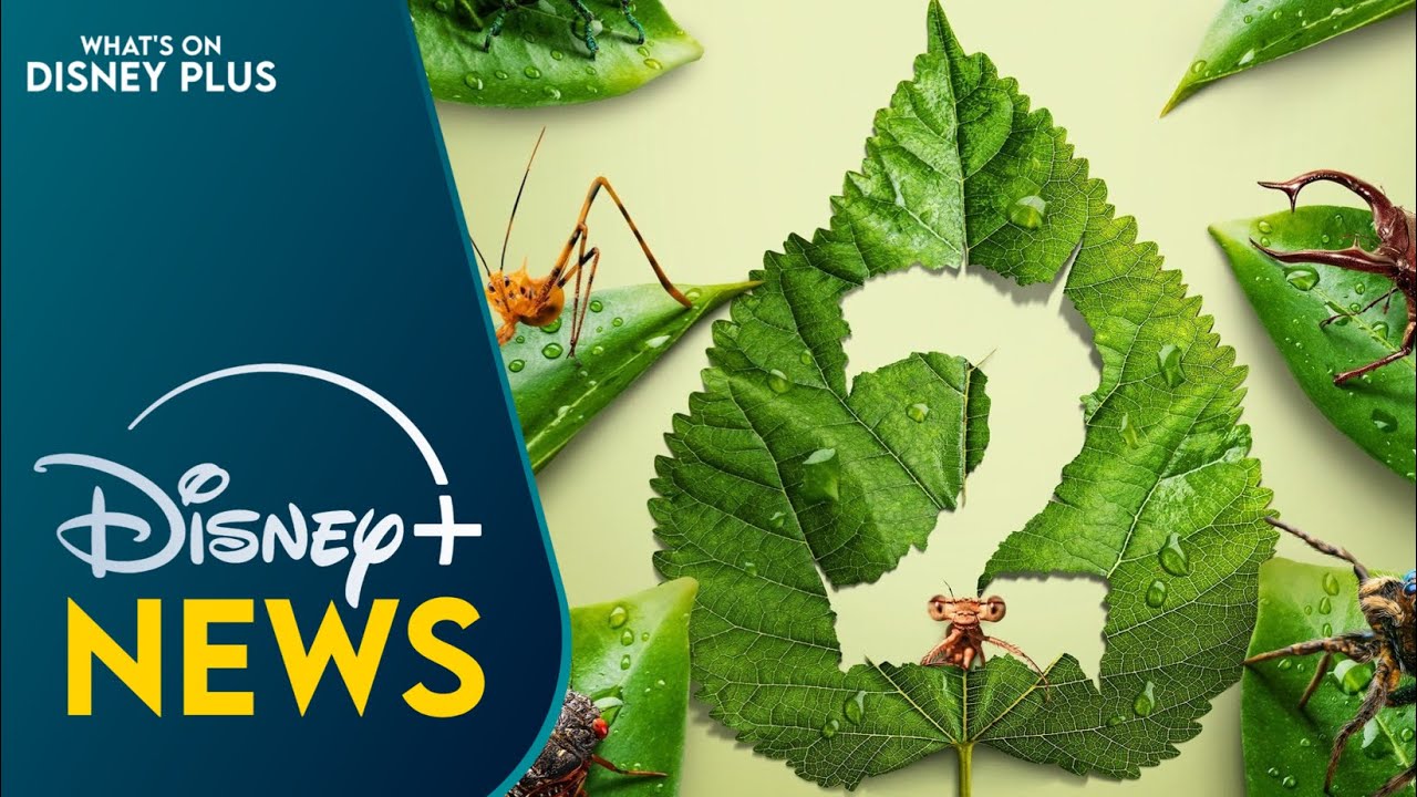 "A Real Bug's Life" Season Two Coming Soon To Disney+ | Disney Plus ...