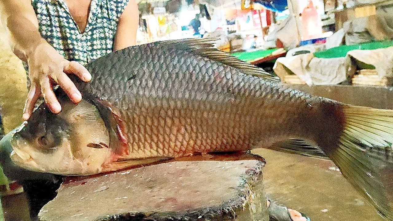 Amazing Giant Carla car Fish Cutting Skills In Fish Market || Fish ...