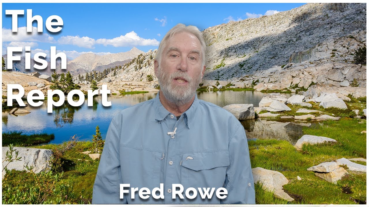 Fred Rowe Fish Report June 28, 2023 - YouTube