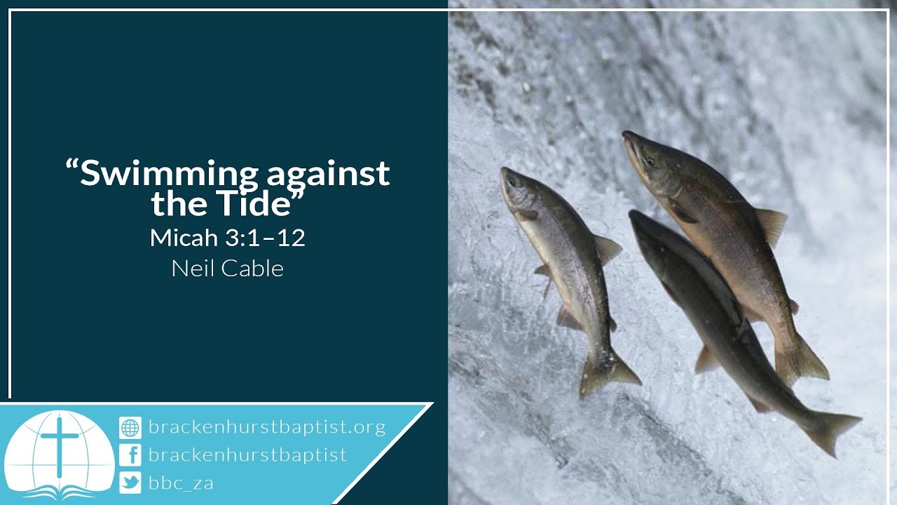 Swimming Against The Tide