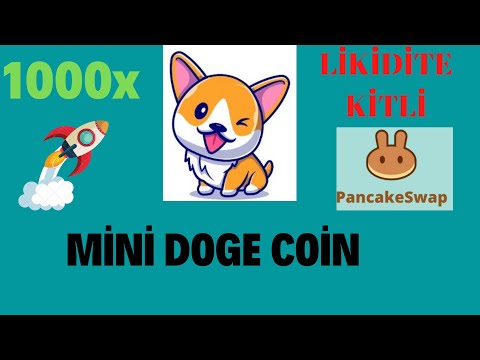 MiniDOGE  Coin 1000x Potansiyelli ! MiniDOGE Coin Nedir ? Kaç Dolar Olur ? 1000x Potansiyeli Var