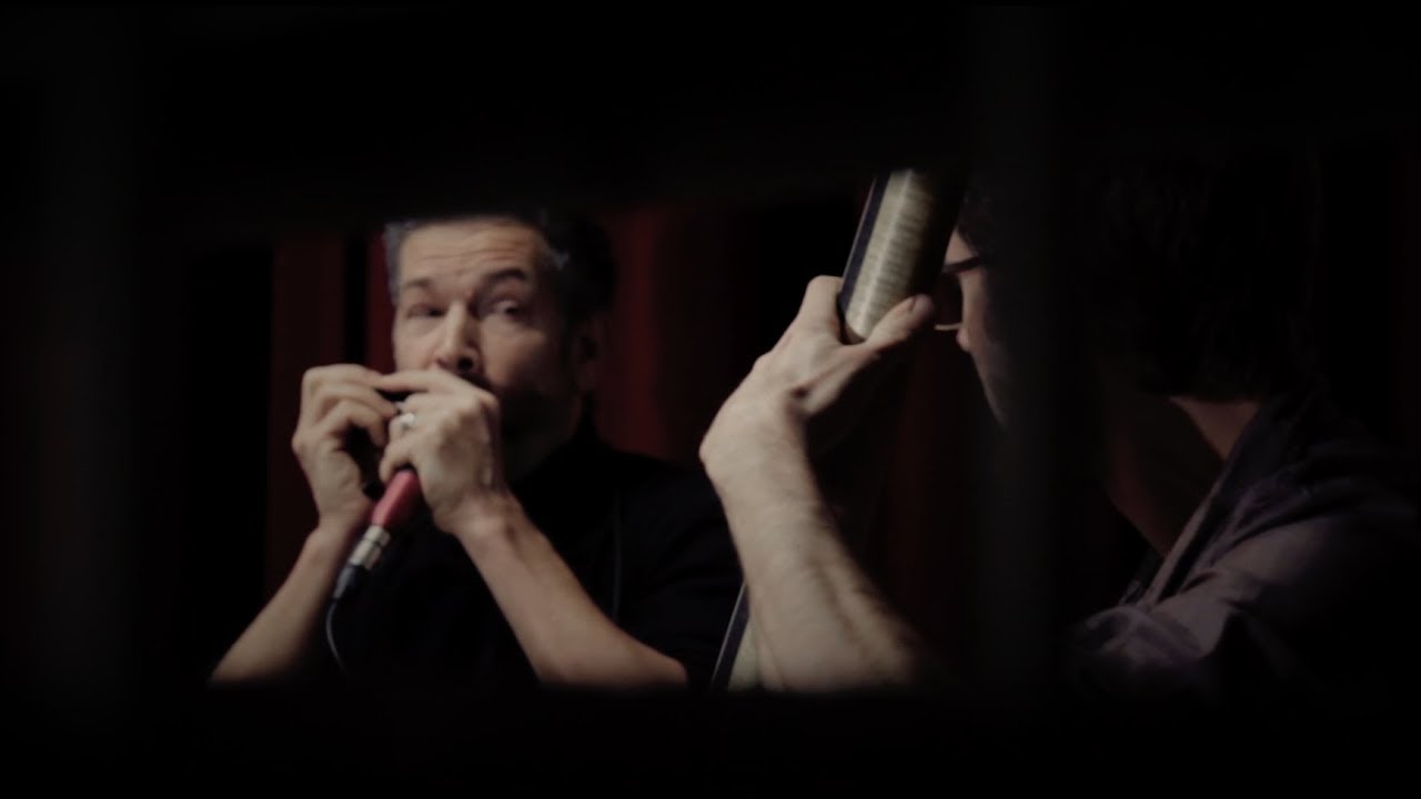 Steven De bruyn - Maurice the Boss (cat) (AB Session) - YouTube