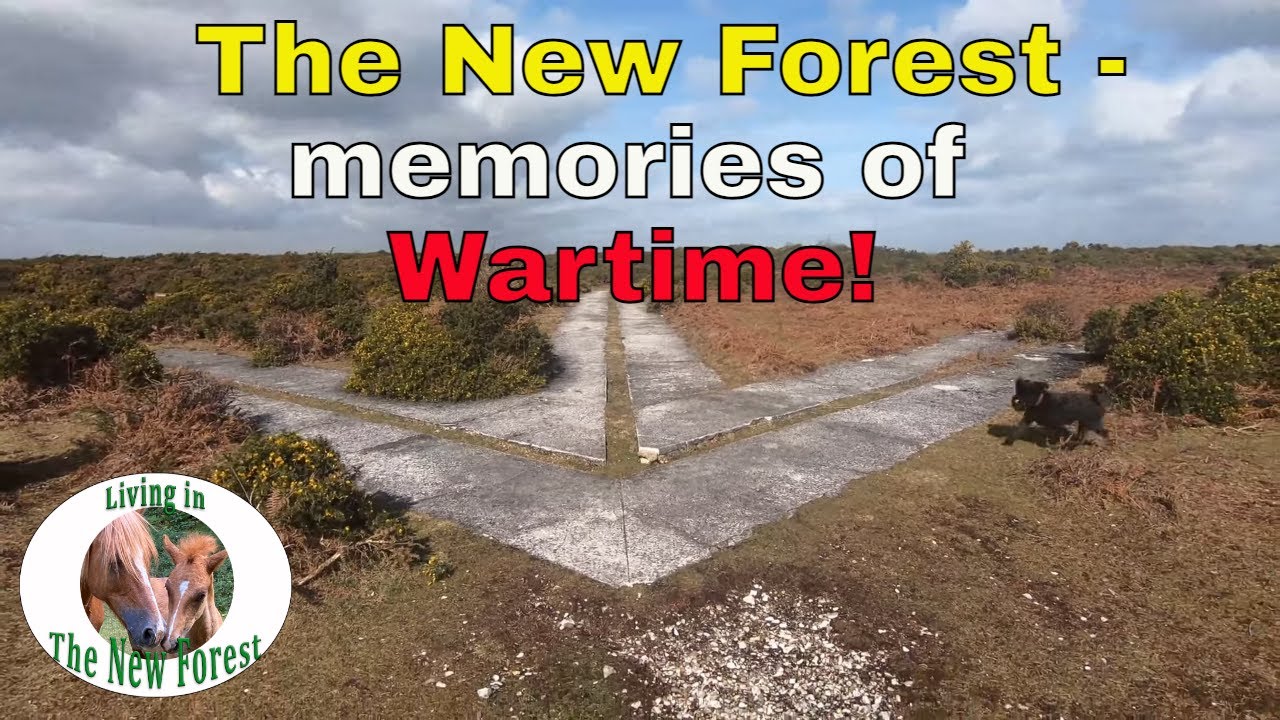 5 locations where The New Forest helped the war effort - that you can ...