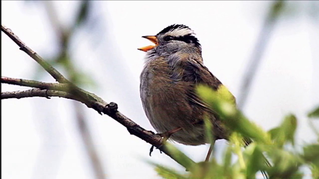 Beautiful little things in life! - YouTube