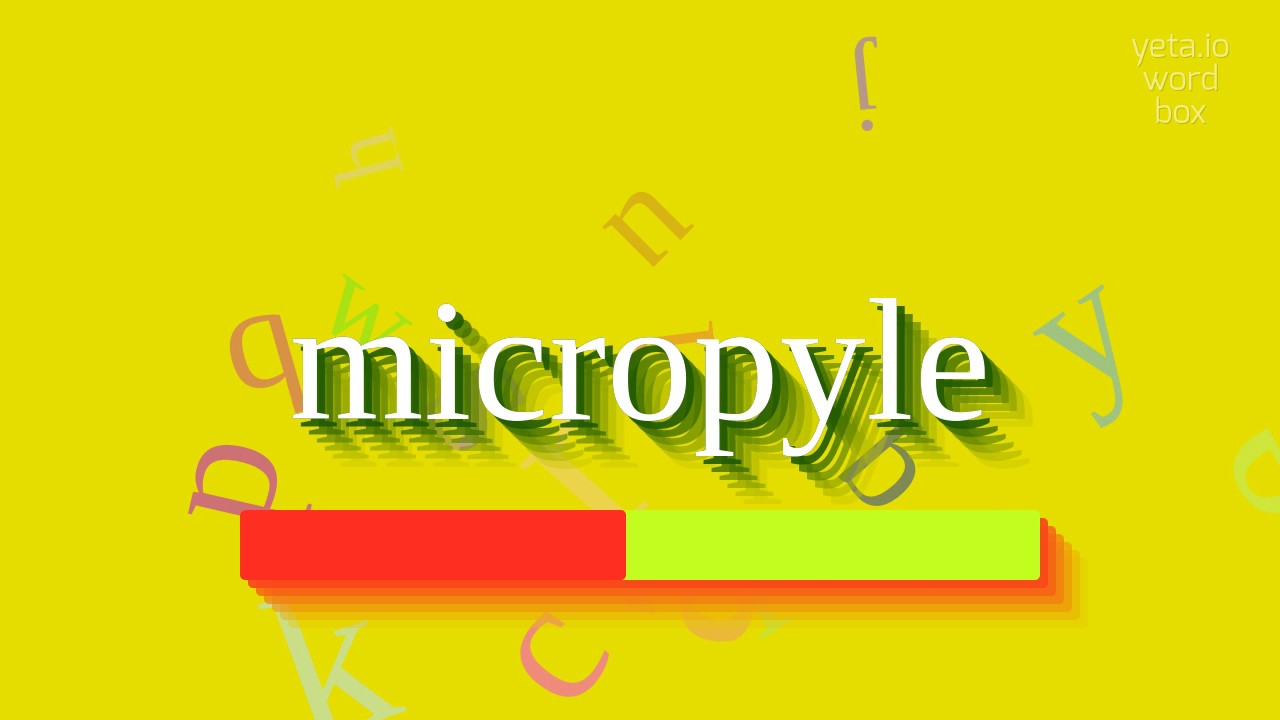 MICROPYLE - HOW TO SAY MICROPYLE? #micropyle - YouTube
