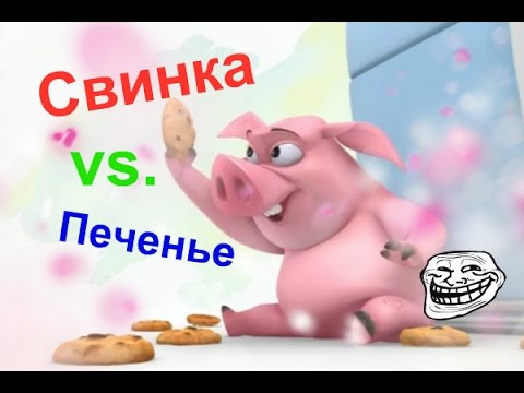 Свинья и печенье | Funny