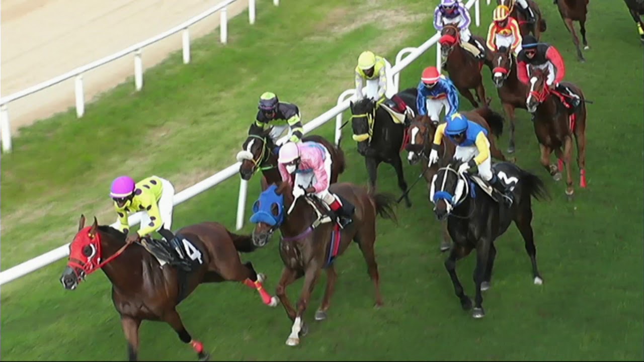 BTC RACE DAY 24 OCT 2020 - RACE 6 - YouTube