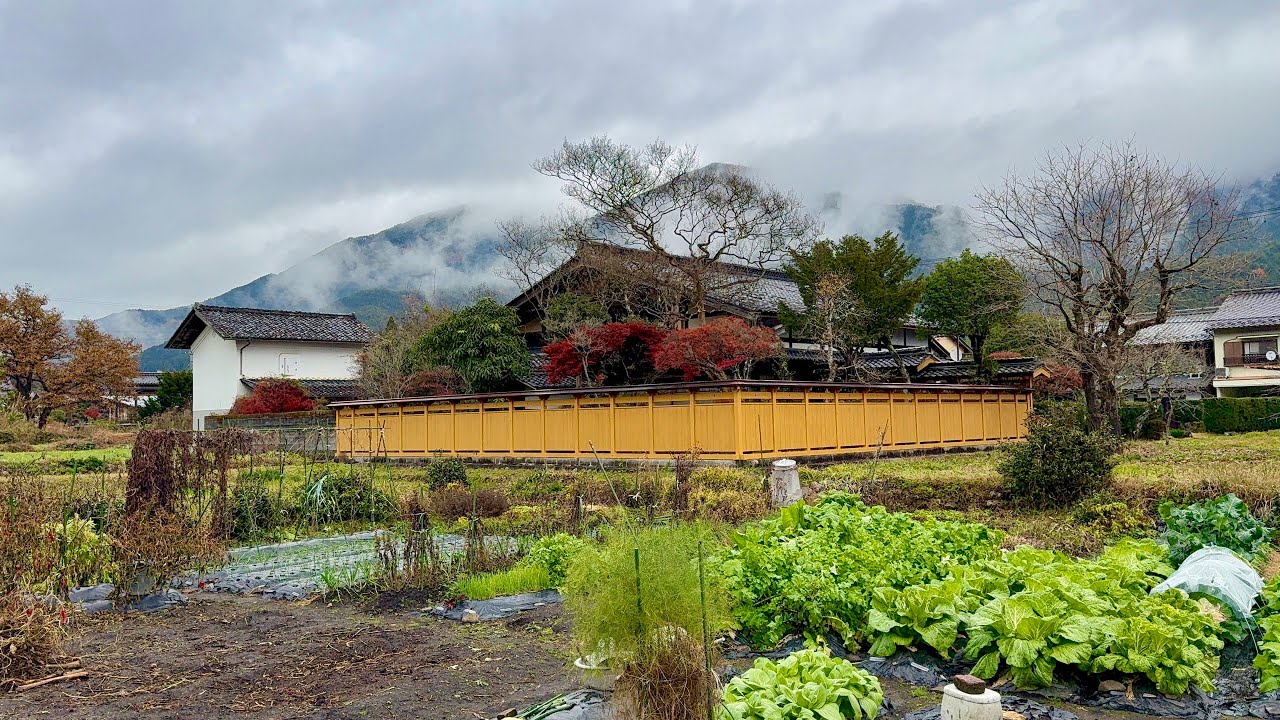 4K Beautiful Japanese Countryside Scenery | Walking Tour Nakatsugawa ...