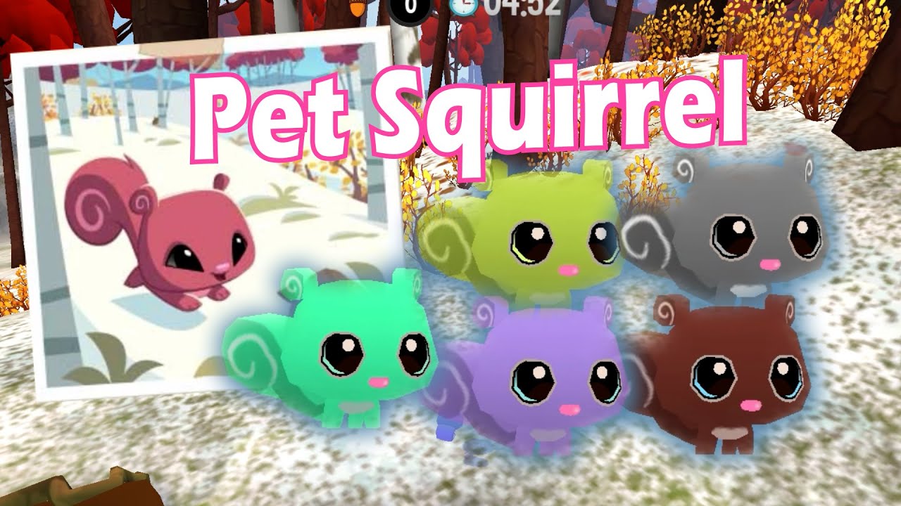 Full Collection Squirrel Pack Run Set in Nov 2021 | Pack Run-Squirrel ...