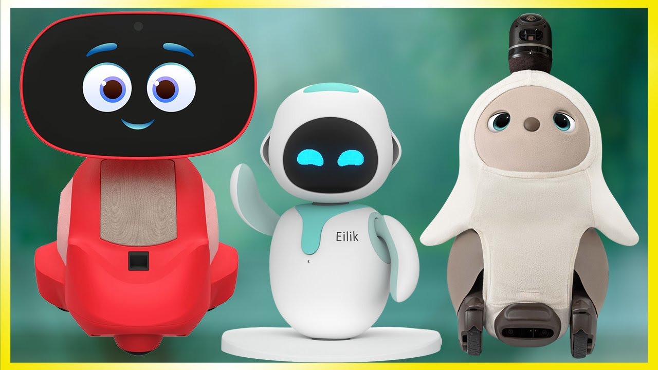 5 Best Personal Robots You Can Buy In 2024 | Smart Robots That Will ...