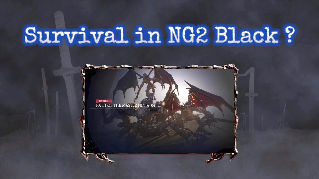 NG2 Black - Master 04 - All Weapons - YouTube