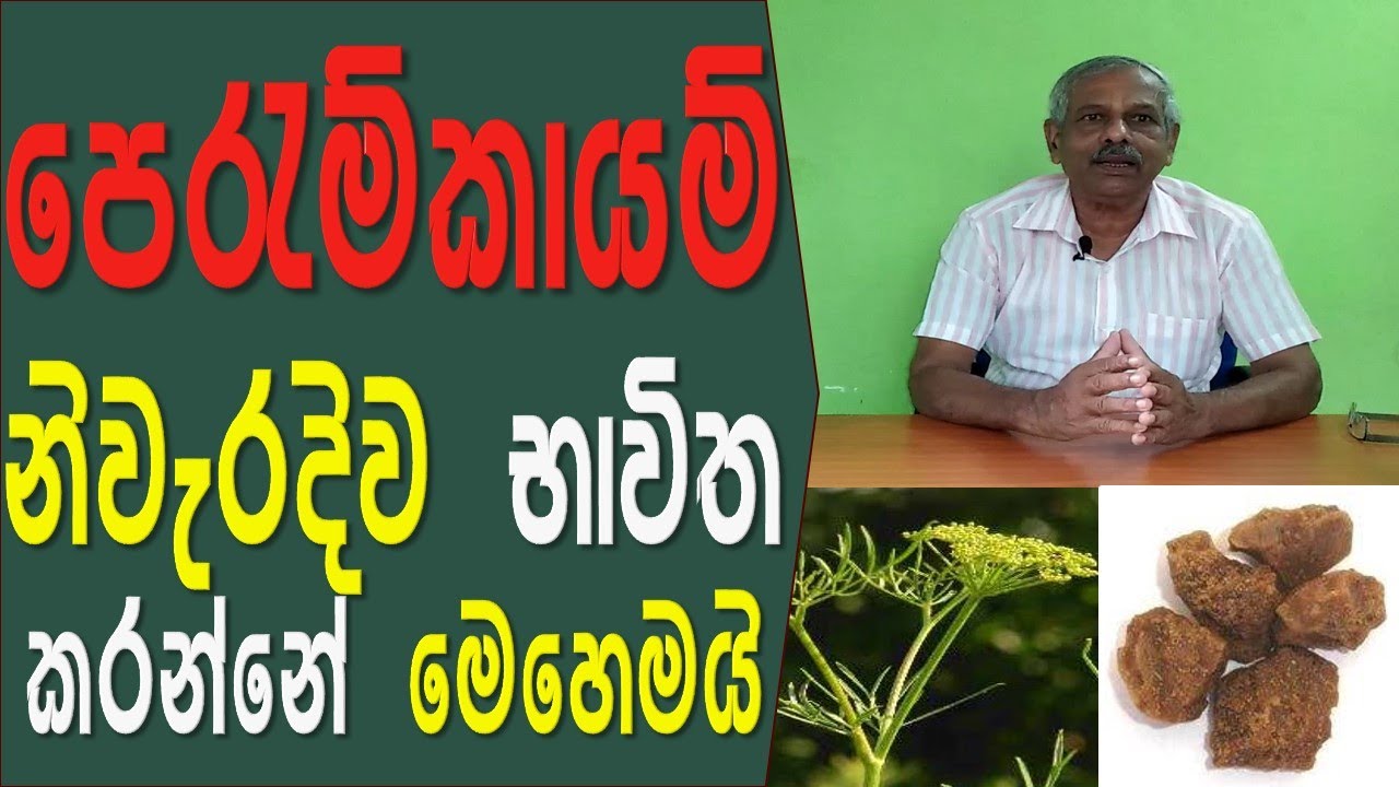 පෙරුම්කායම් භාවිත කරන හරිවිදිය | Perumkayam Sinhala | story eka - YouTube