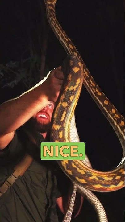 Big Python Bites My Hand! - YouTube