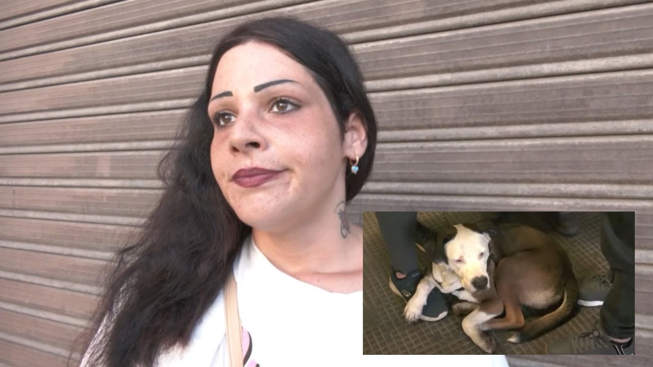 Deborah, telefonata shock dopo le offese: "Antonio chiedo scusa a tutti ...