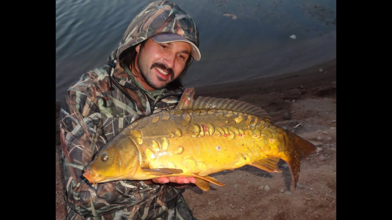 Şamandırayla Sazan Avı Float Fishing For Carp İç Anadolu Part-2 - YouTube