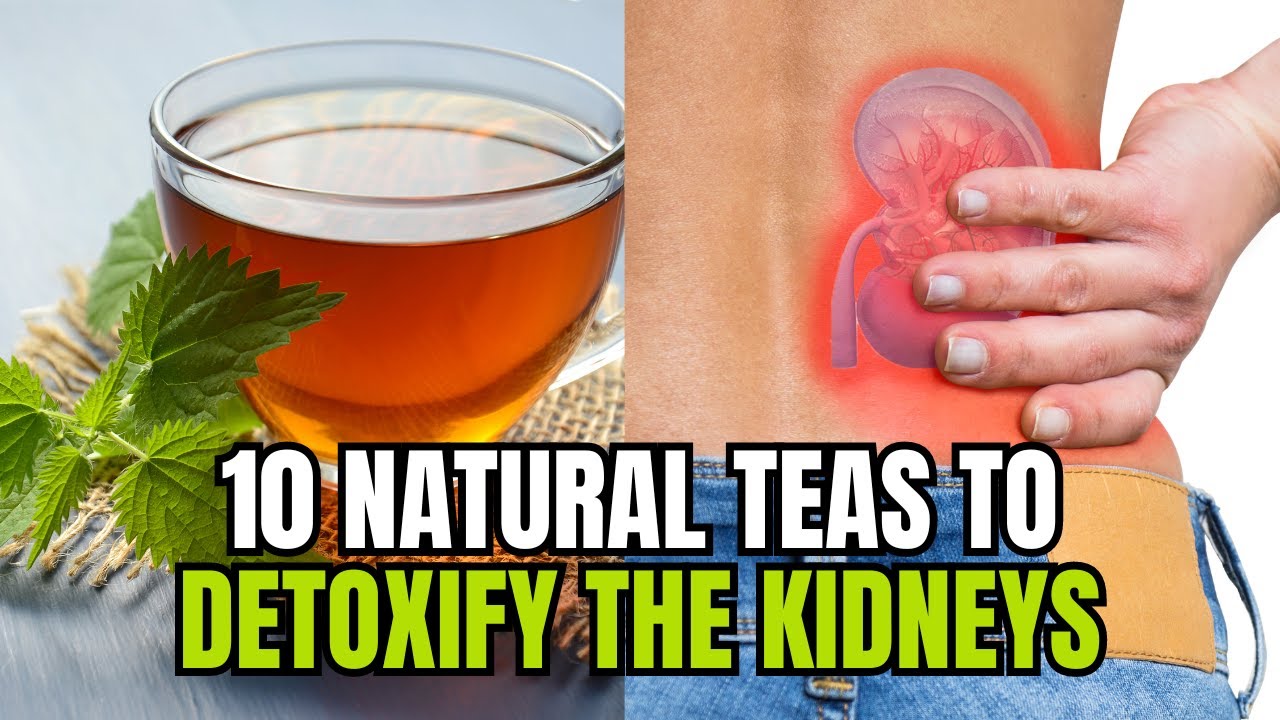 10 Natural Teas To Detoxify The Kidneys - YouTube