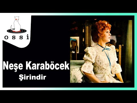 Neşe Karaböcek - Şirindir