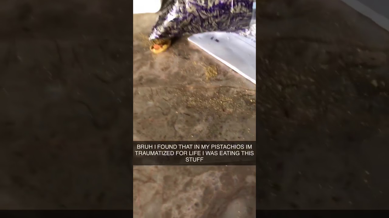 Bugs in my pistachios! 🤮 - YouTube