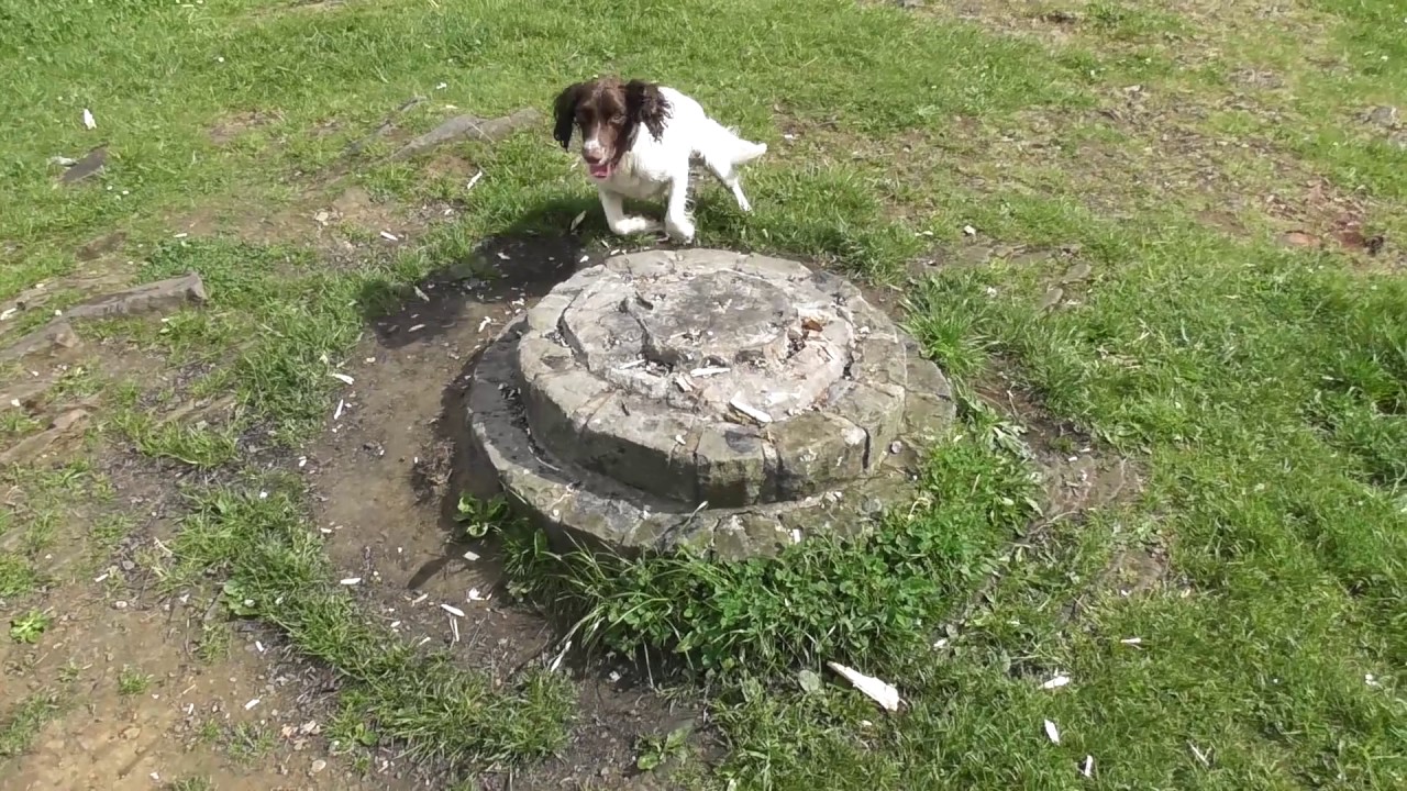 Walking to the top of Billinge Hill - the highest point in Merseyside ...