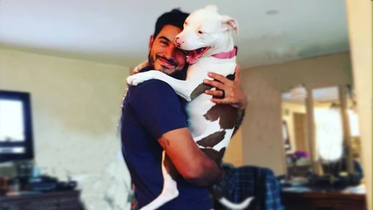 Cute Dogs And Their Human That Will Make You Laugh All Day Long 😂 ...