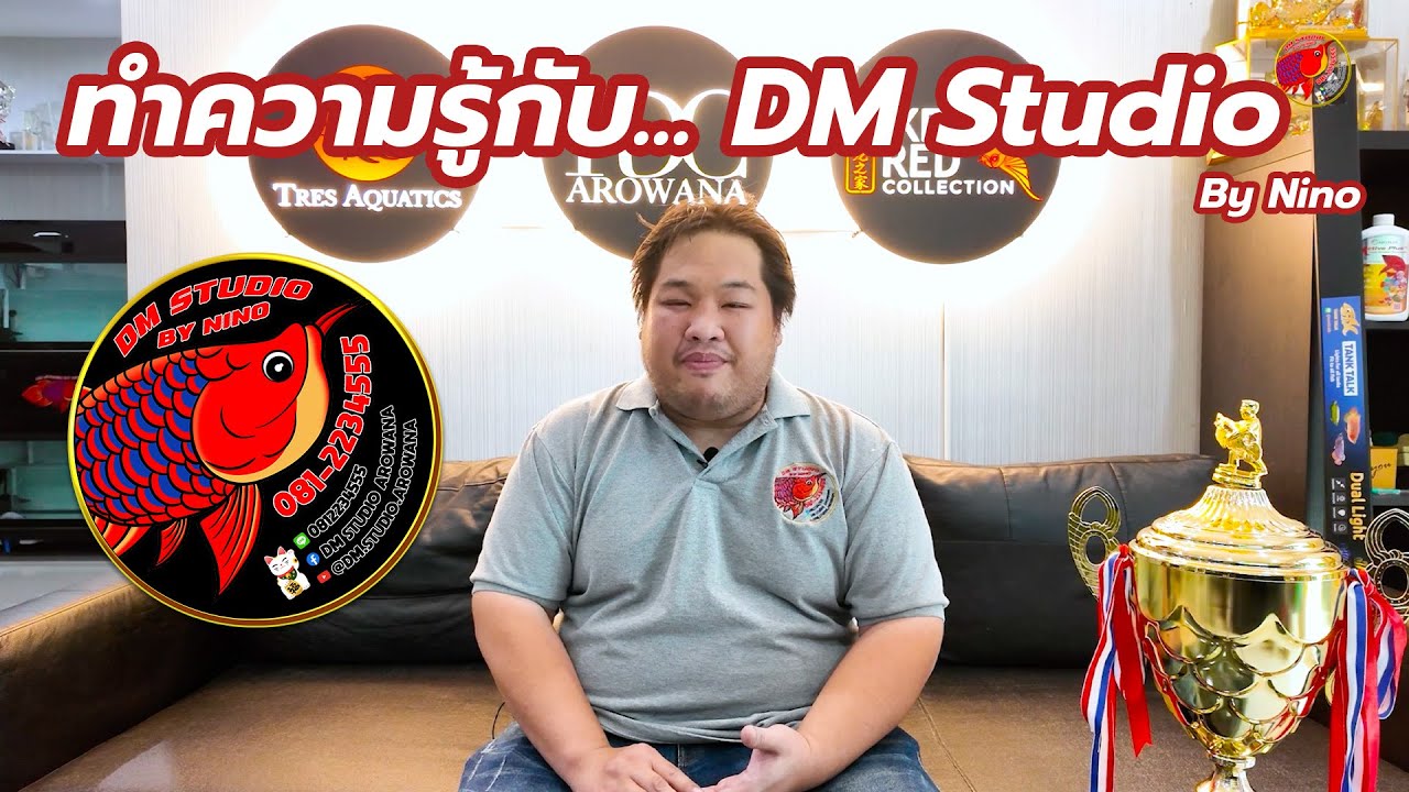 DM Studio By Nino - Introduction ร้านปลามังกรแดงเกรดพรีเมี่ยม ในราคาสบายกระเป๋า - YouTube