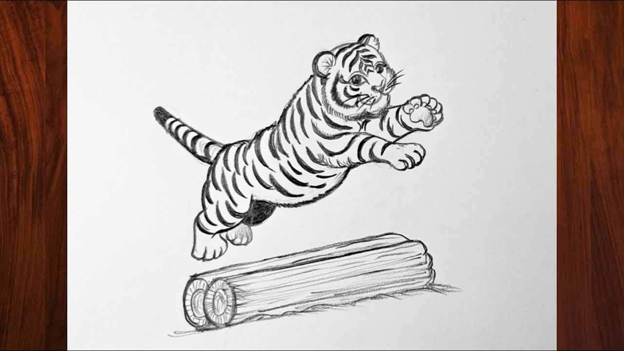 How to draw Tiger step by step | Tiger Drawing Easy | Tiger pencil ...