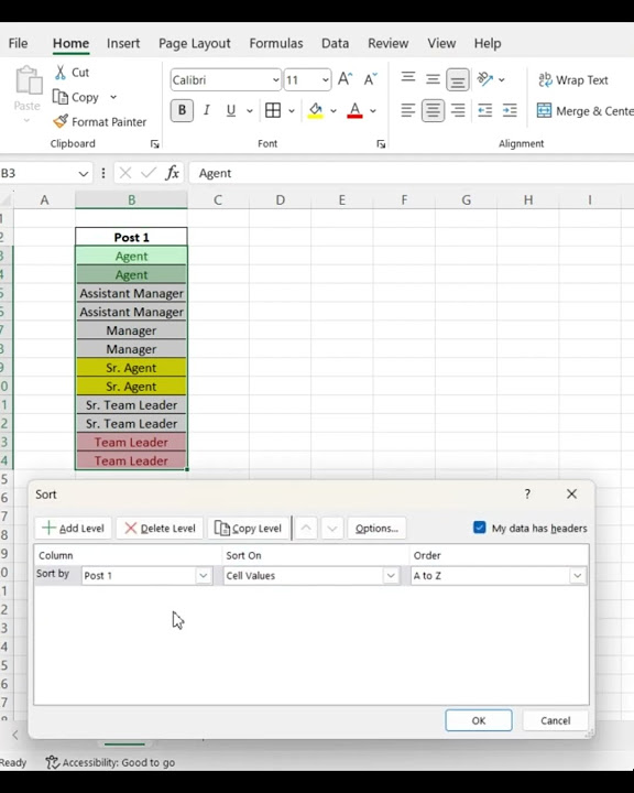 Custom Sort In Excel Part 1 Excel Exceltips Learnexcel 1minuteexcel Youtube
