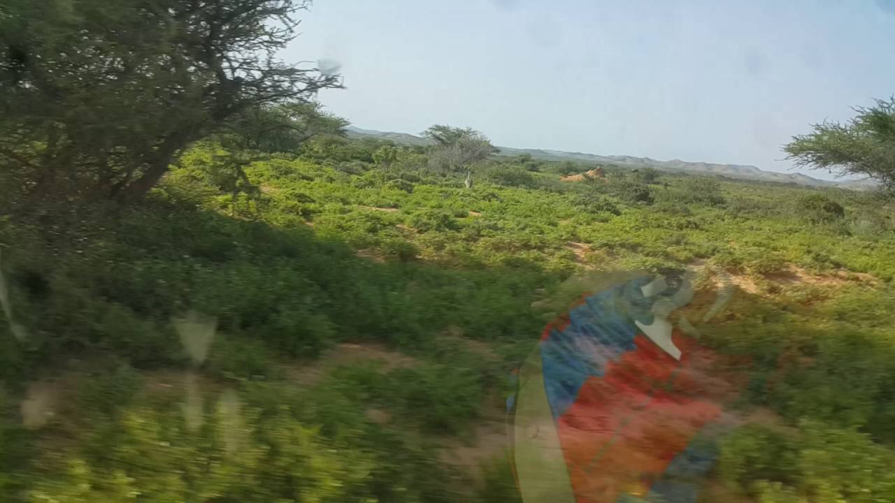 Laascanood Wadada Tulo Samakaab - YouTube