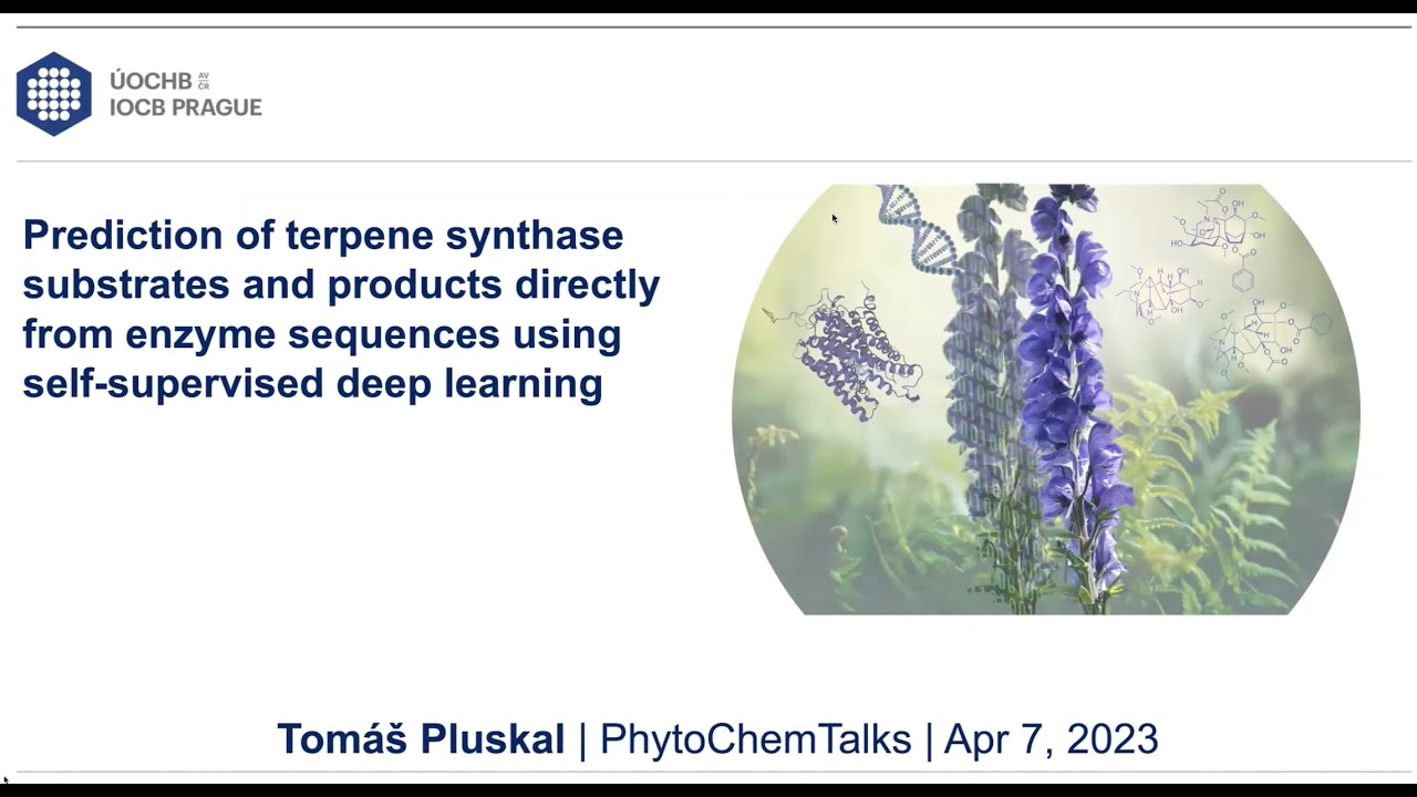 Tomáš Pluskal - YouTube