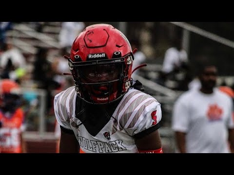 🔥🔥Zion “Buddy” Mullen🔥🔥 12u Hampton Roads Wolfpack highlights 🎥📸🎞️🍿 ...