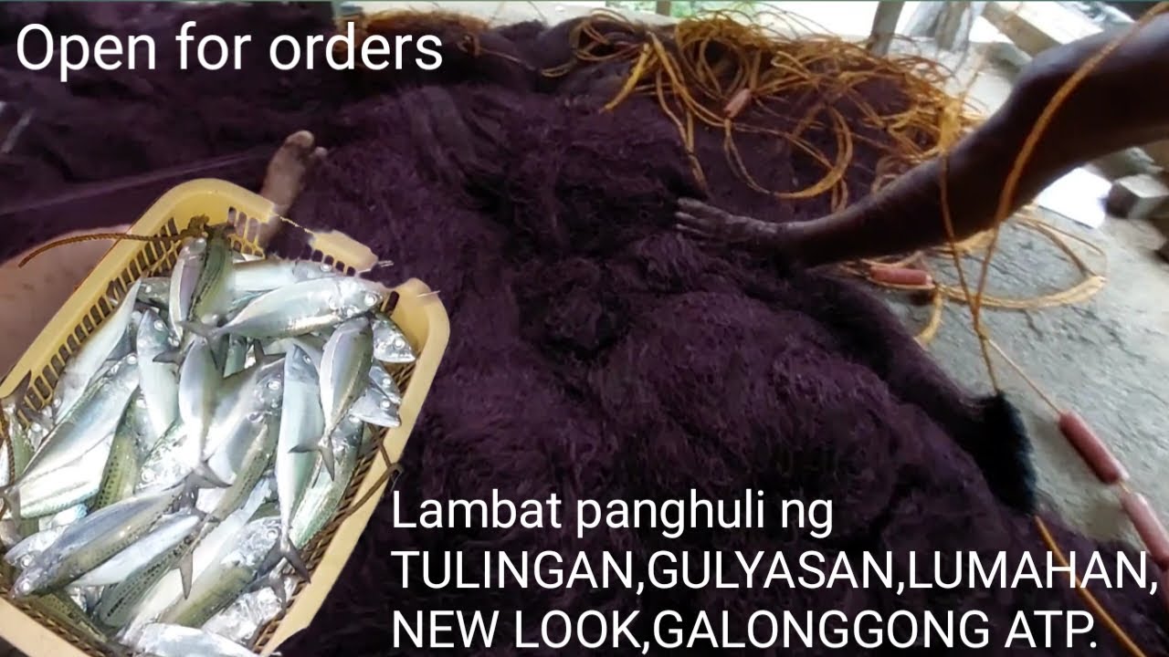 Lambat panghuli ng TULINGAN,GULYASAN,LUMAHAN, NEW LOOK,GALONGGONG ATP ...