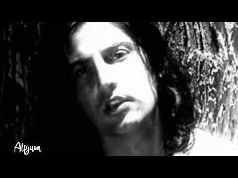 Çelik - Hercai