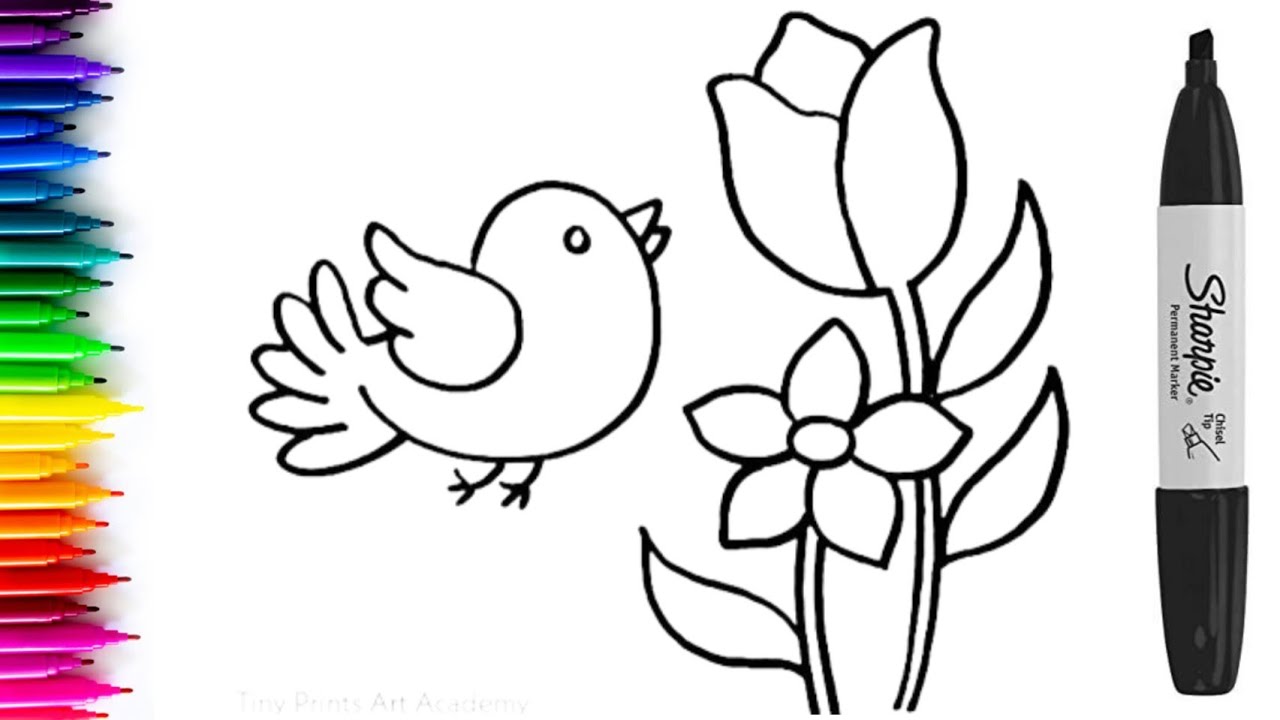Spring flower and bird drawing and coloring for kids and toddlers , how ...