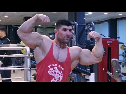 Kurdish bodybuilder Azad Shengali - Gym posing - YouTube