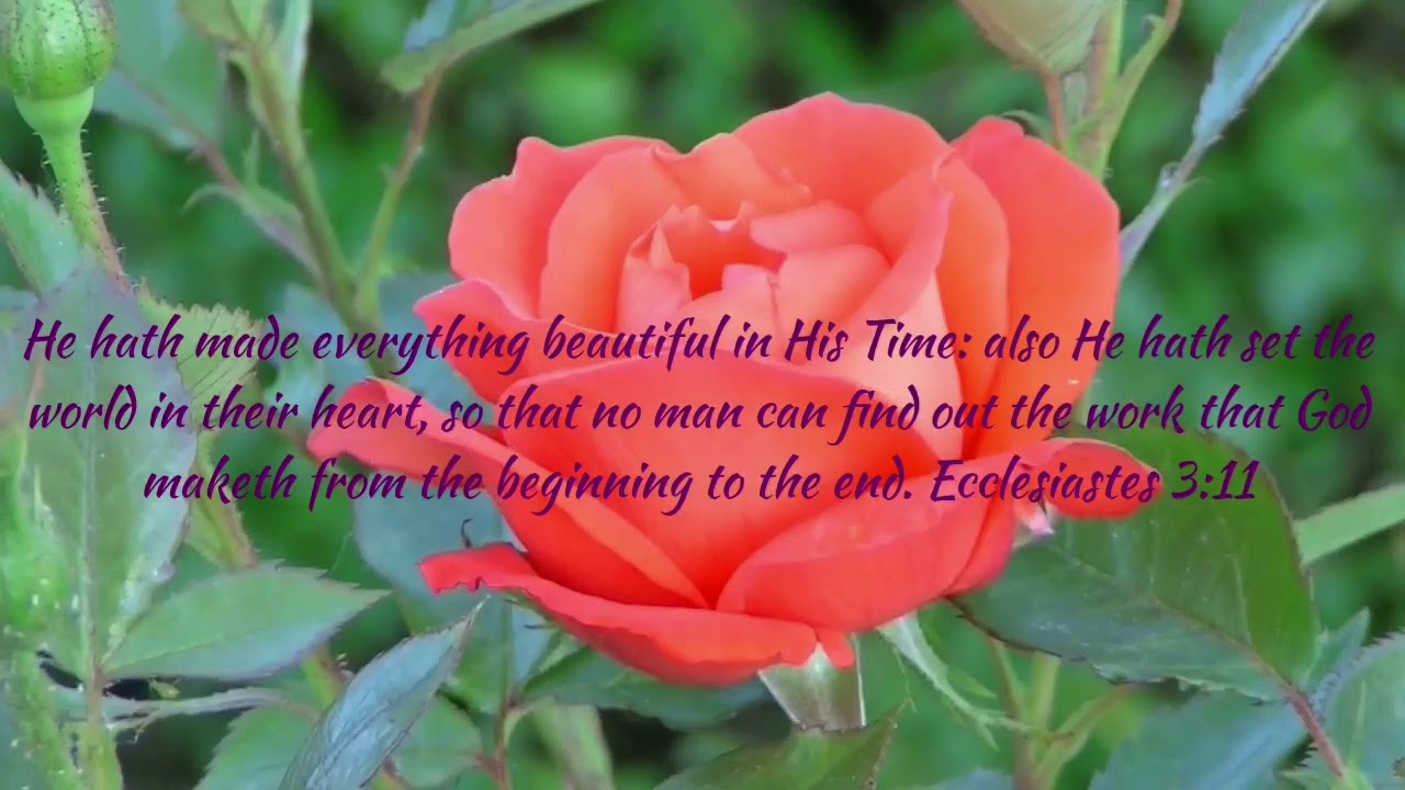 Encouraging Scriptures - YouTube